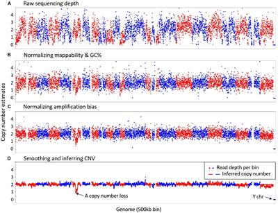 Frontiers | SCCNV: A Software Tool for Identifying Copy Number Variation From Single-Cell Whole ...